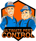 Long Island Pest Control | Ultimate Pest Control Inc.